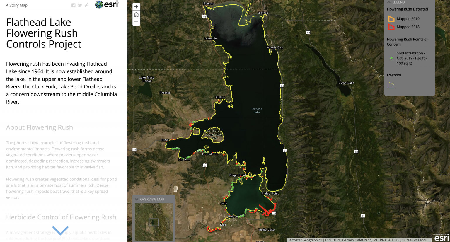 Flowering Rush Story Map – Salish Kootenai College