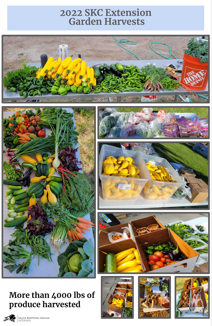 Garden for Life – Salish Kootenai College